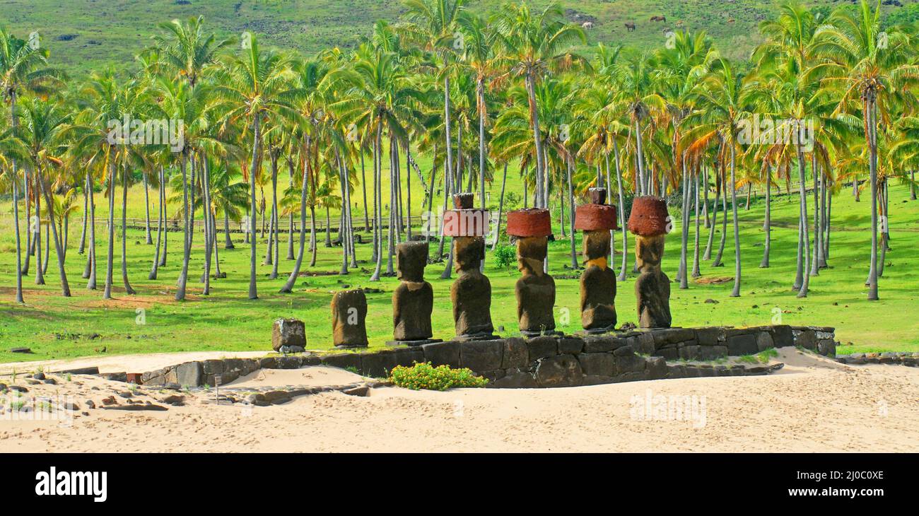 Moai, Easter island, Chile Stock Photo - Alamy