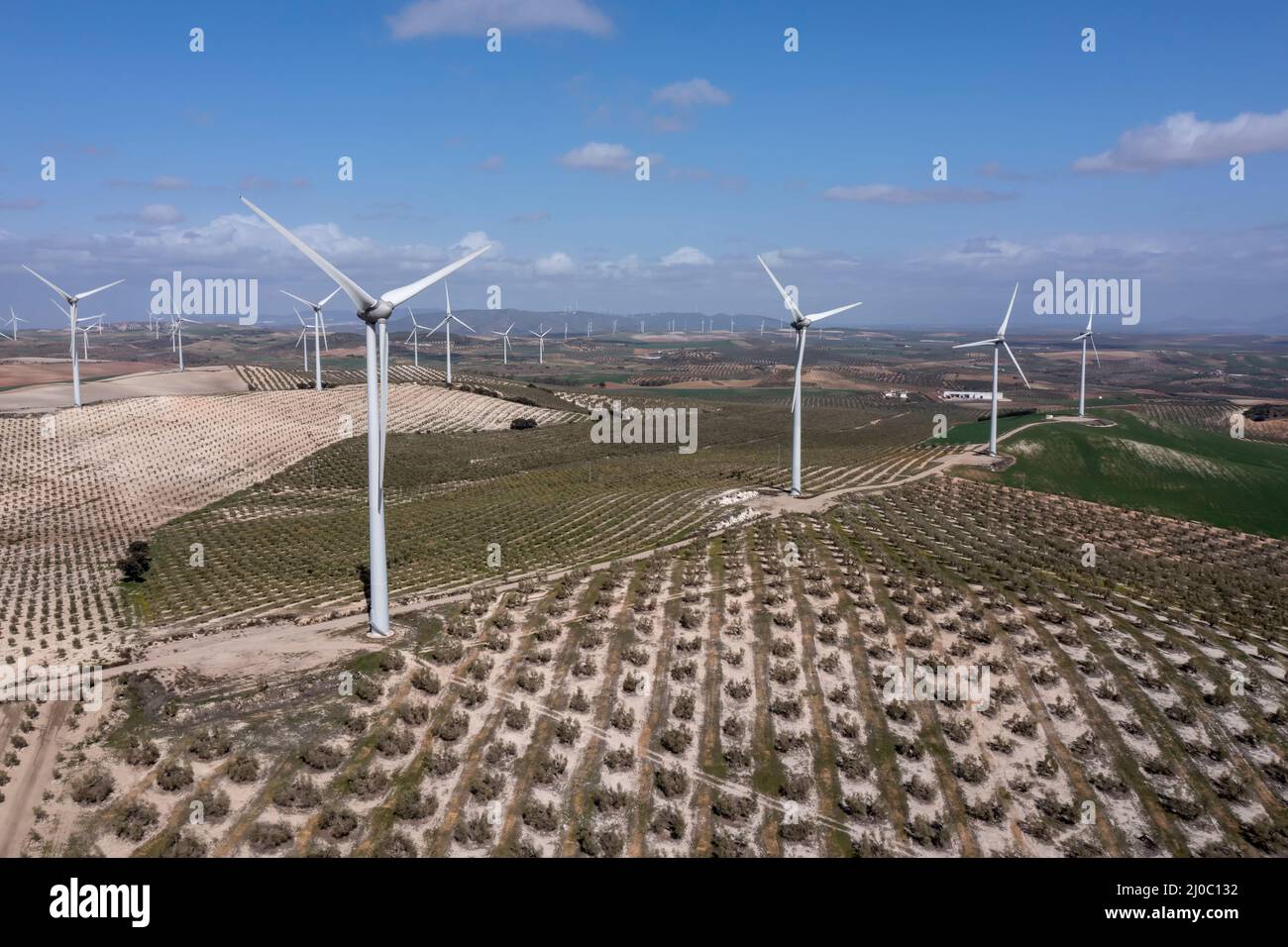 Field with windmills for renewable energies Stock Photo - Alamy