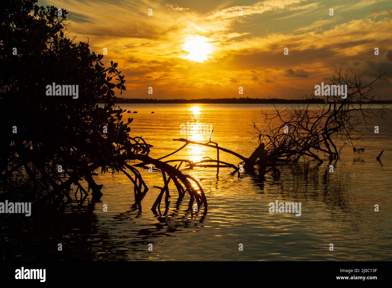 Devils Grotto, Bermuda Stock Photo - Alamy