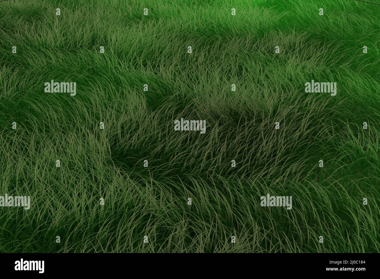 rendering of a 3d illustration of rough grass Stock Photo - Alamy