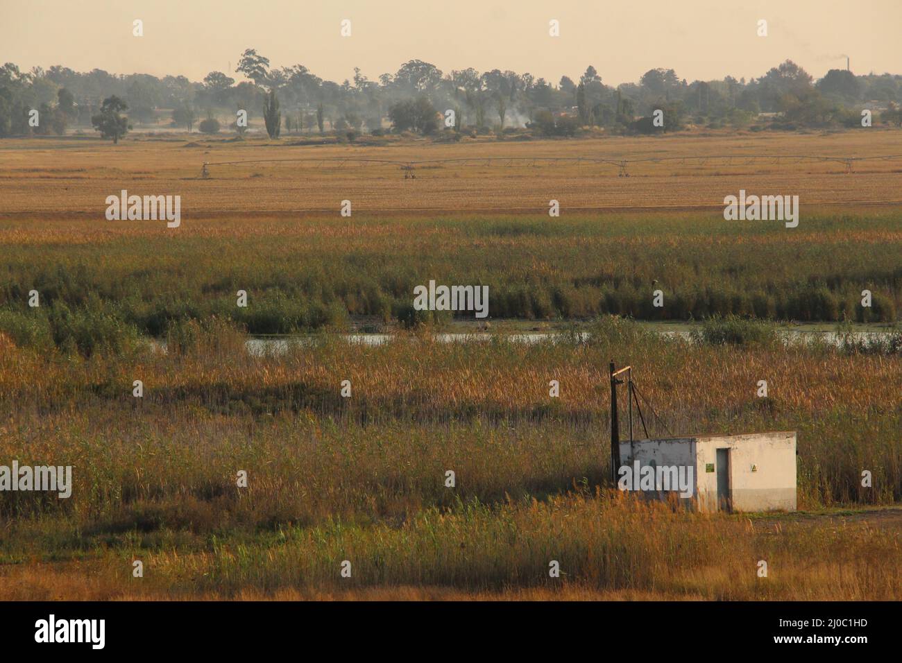 Little house in field Stock Photo - Alamy