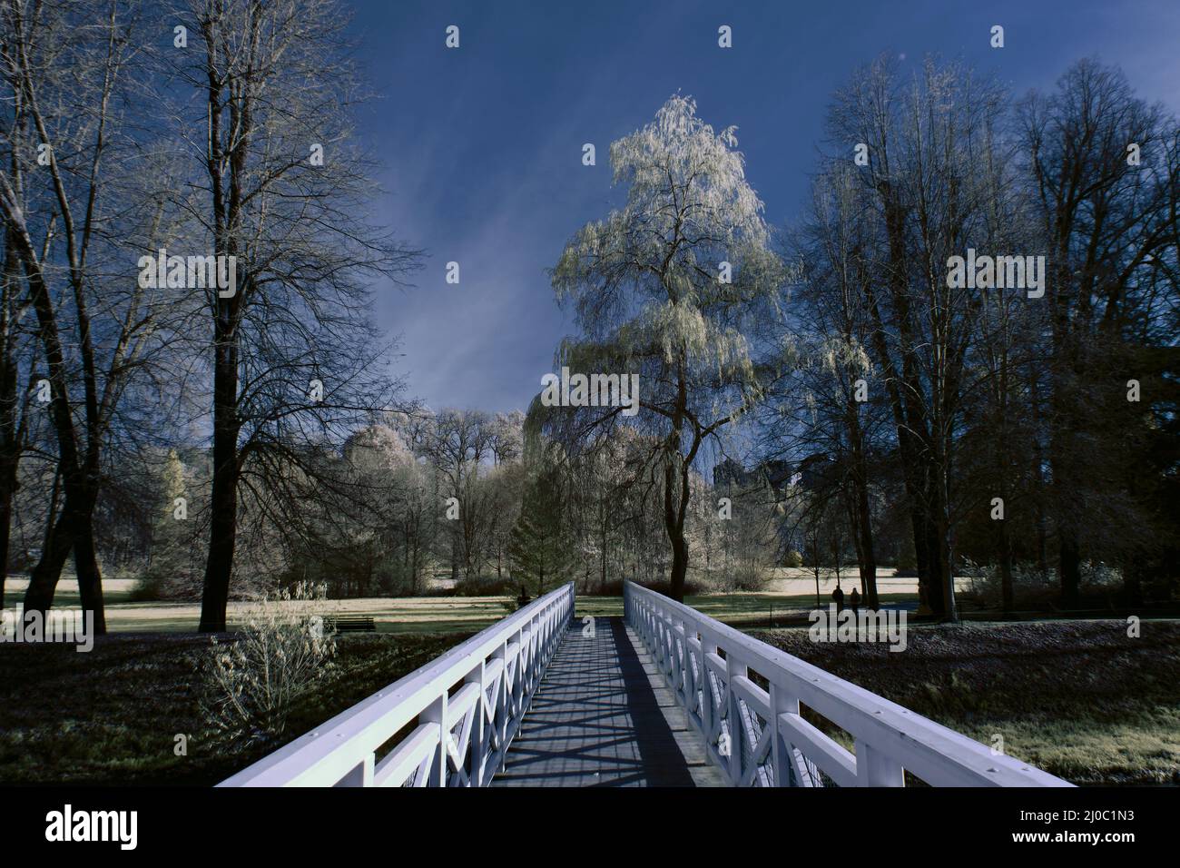 Infrared 720nm landscape with glowing white vegetation, surreal ...