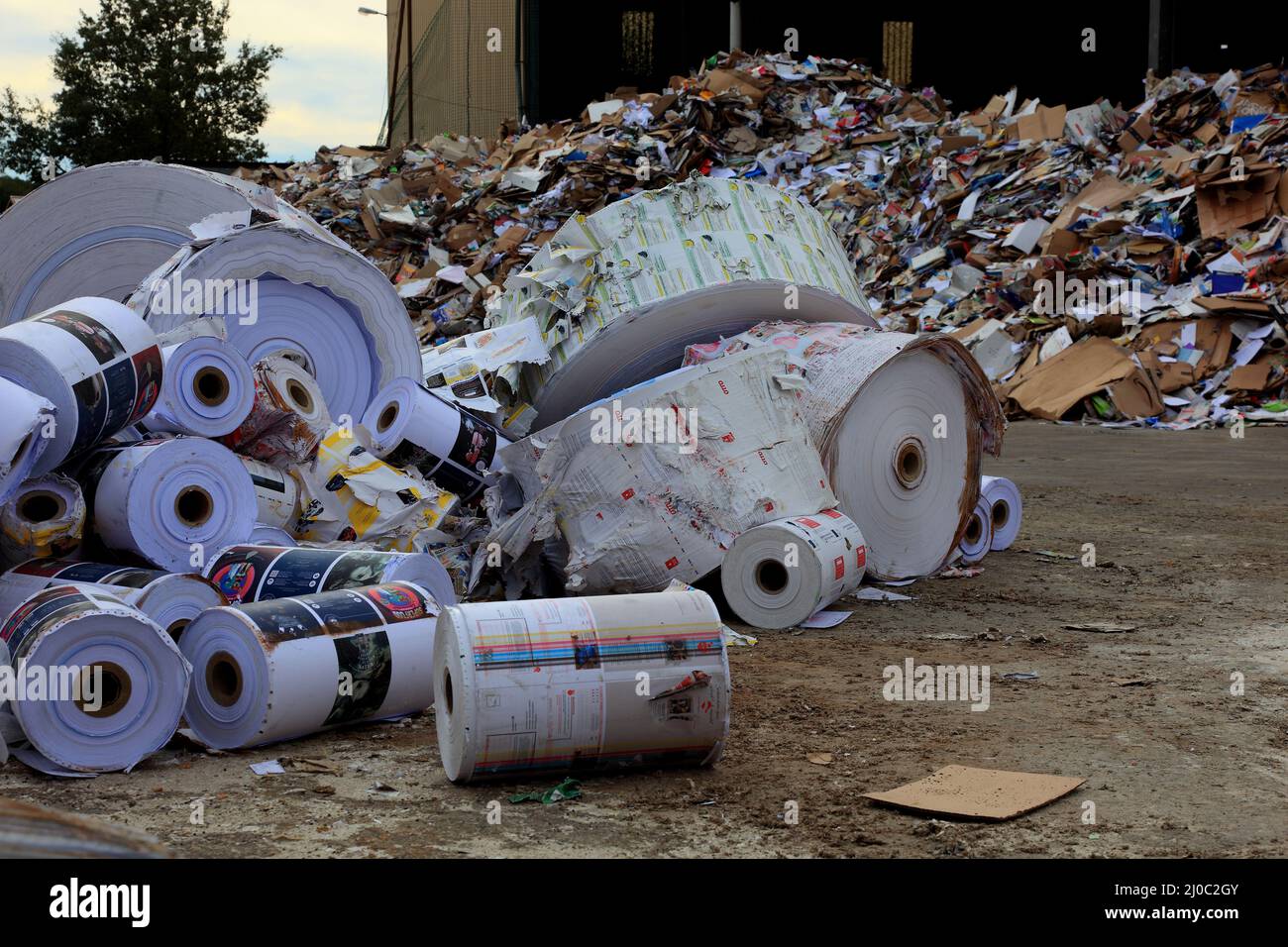 Altpapier, Papierrollen direkt aus der Druckerei zum Recycling / Waste ...