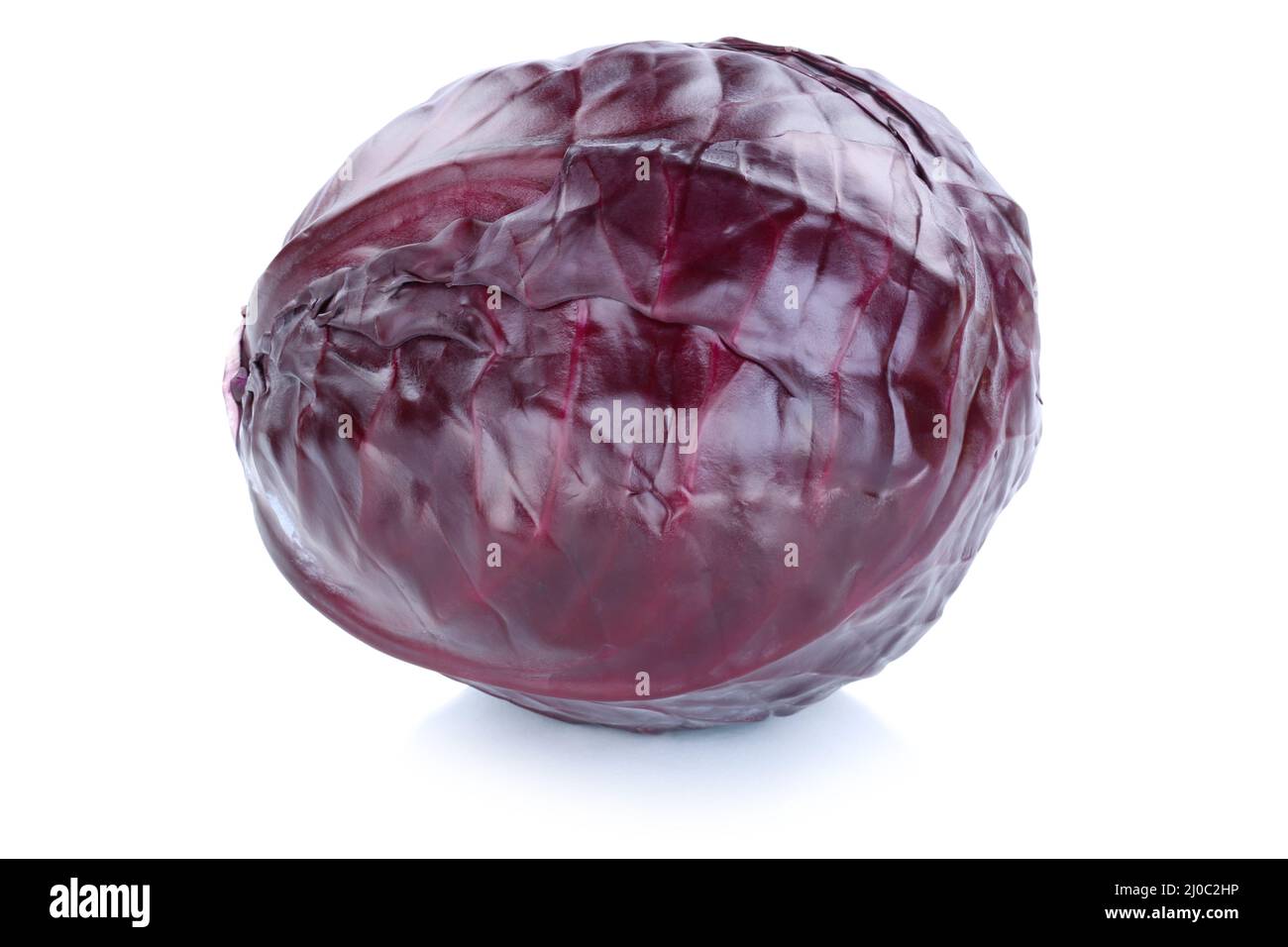 Blue cabbage red cabbage cabbage fresh vegetable exempted isolated ...