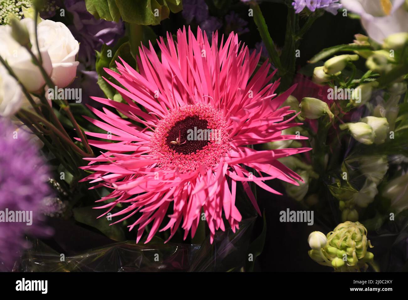 Copenhagen/Denmark./18 March 2022/.Various flowers bouquests display ...