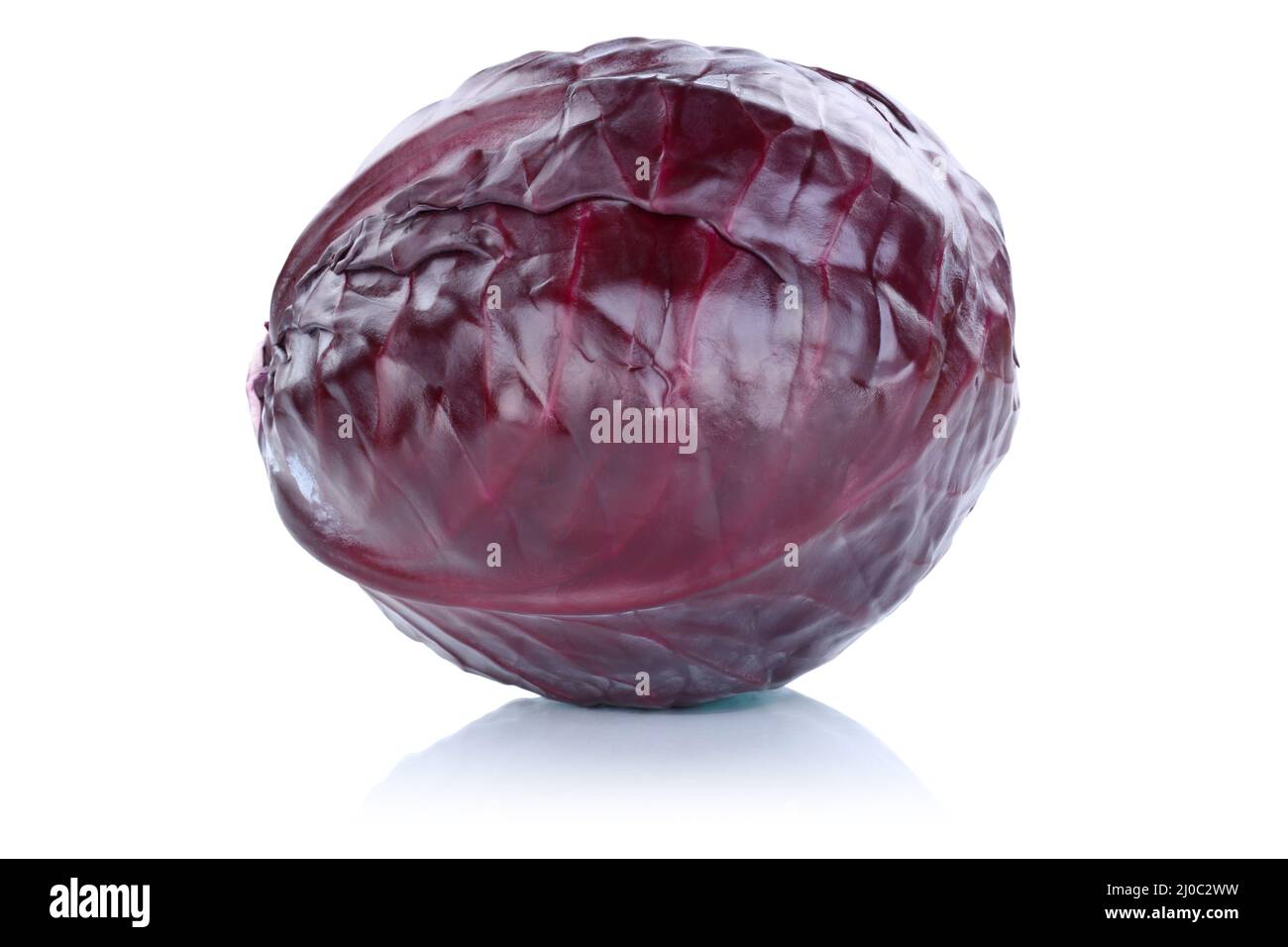 Blue cabbage red cabbage cabbage vegetable exempted isolated Stock ...