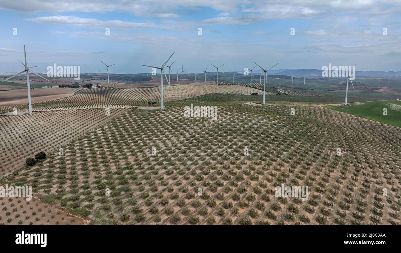 Field with windmills for renewable energies Stock Photo - Alamy