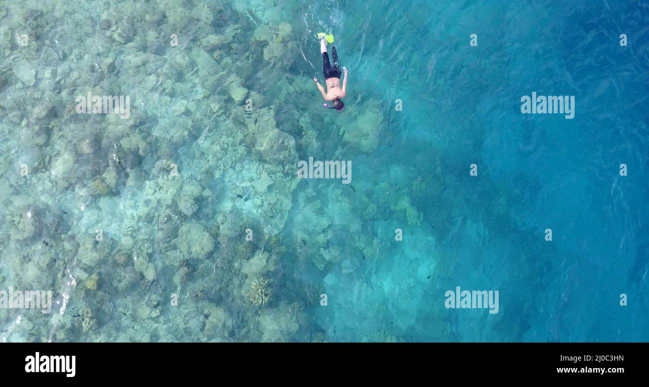 Aerial top view of a female diver on the reef near Rasdhoo Island, the ...