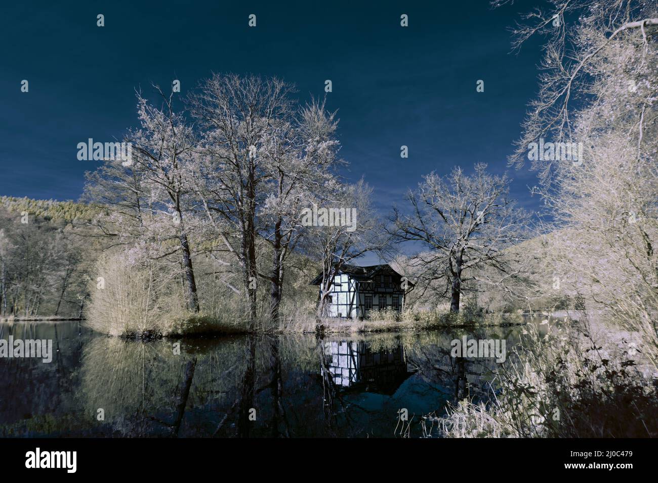 infrared photography - surreal ir photo of landscape with trees under ...