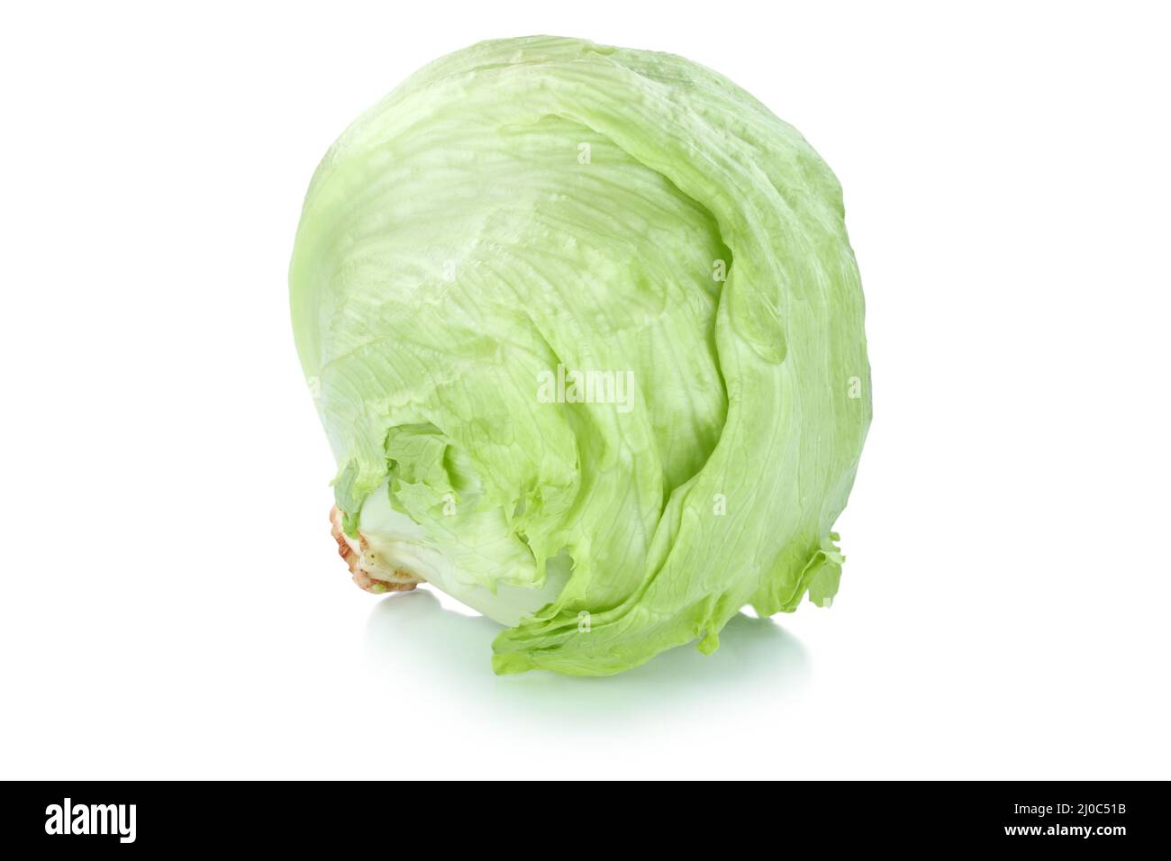 Iceberg lettuce lettuce head fresh vegetable exempted isolated Stock ...