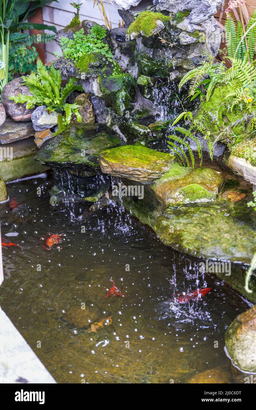 Koi fish pond with rockery and flowing water landscape Stock Photo - Alamy