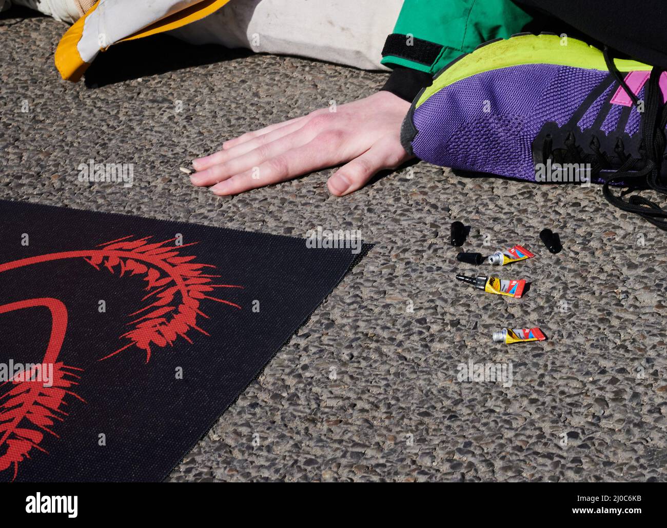 Stuck in a gate hi-res stock photography and images - Alamy