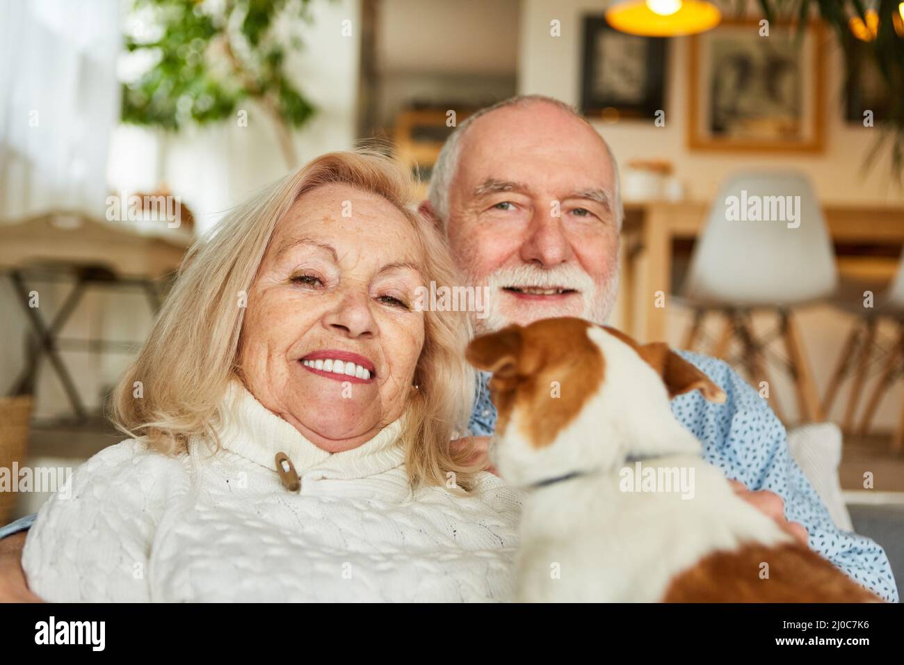 Retired happy retirement dog hi-res stock photography and images - Alamy
