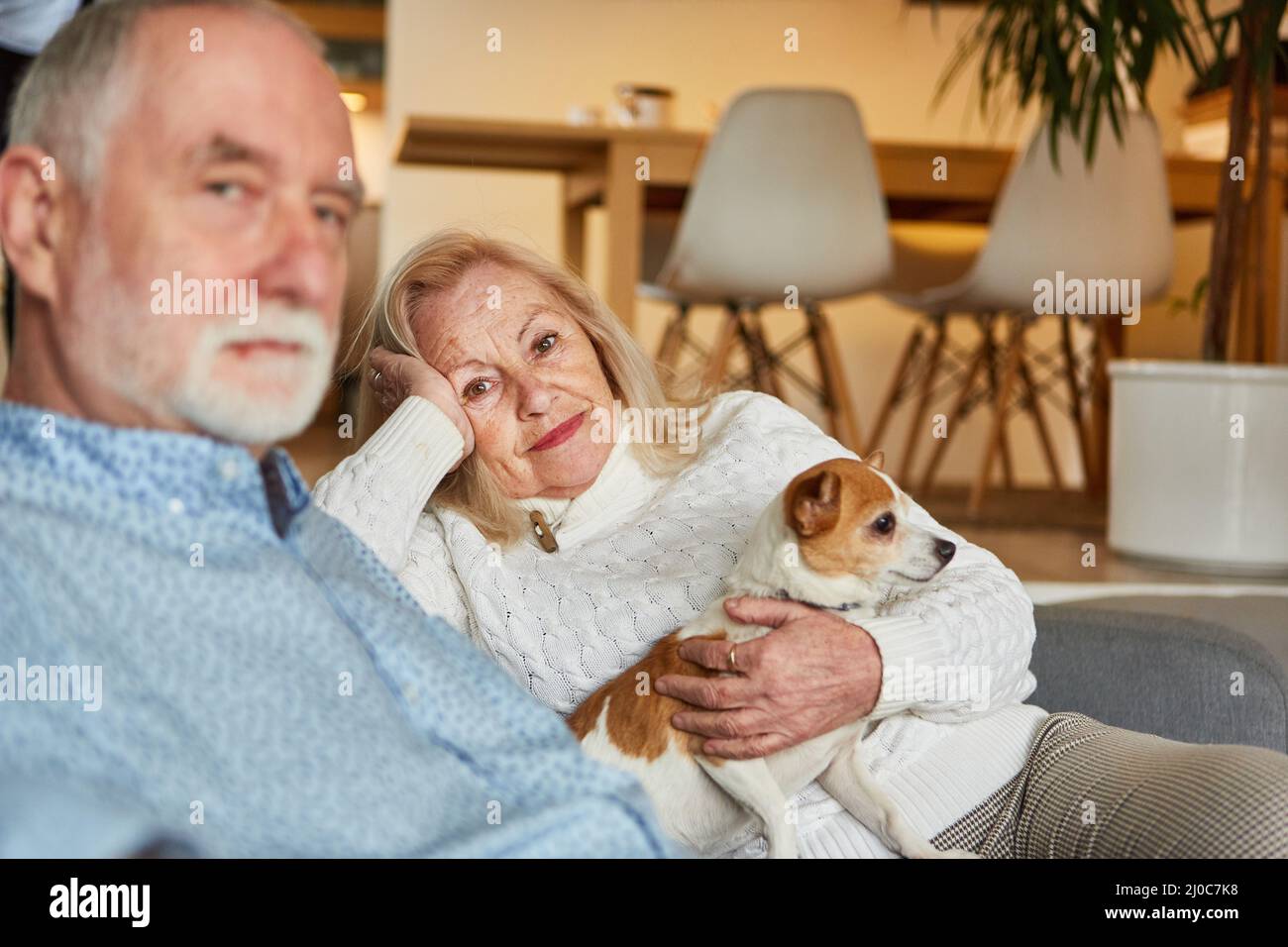 Retired happy retirement dog hi-res stock photography and images - Alamy