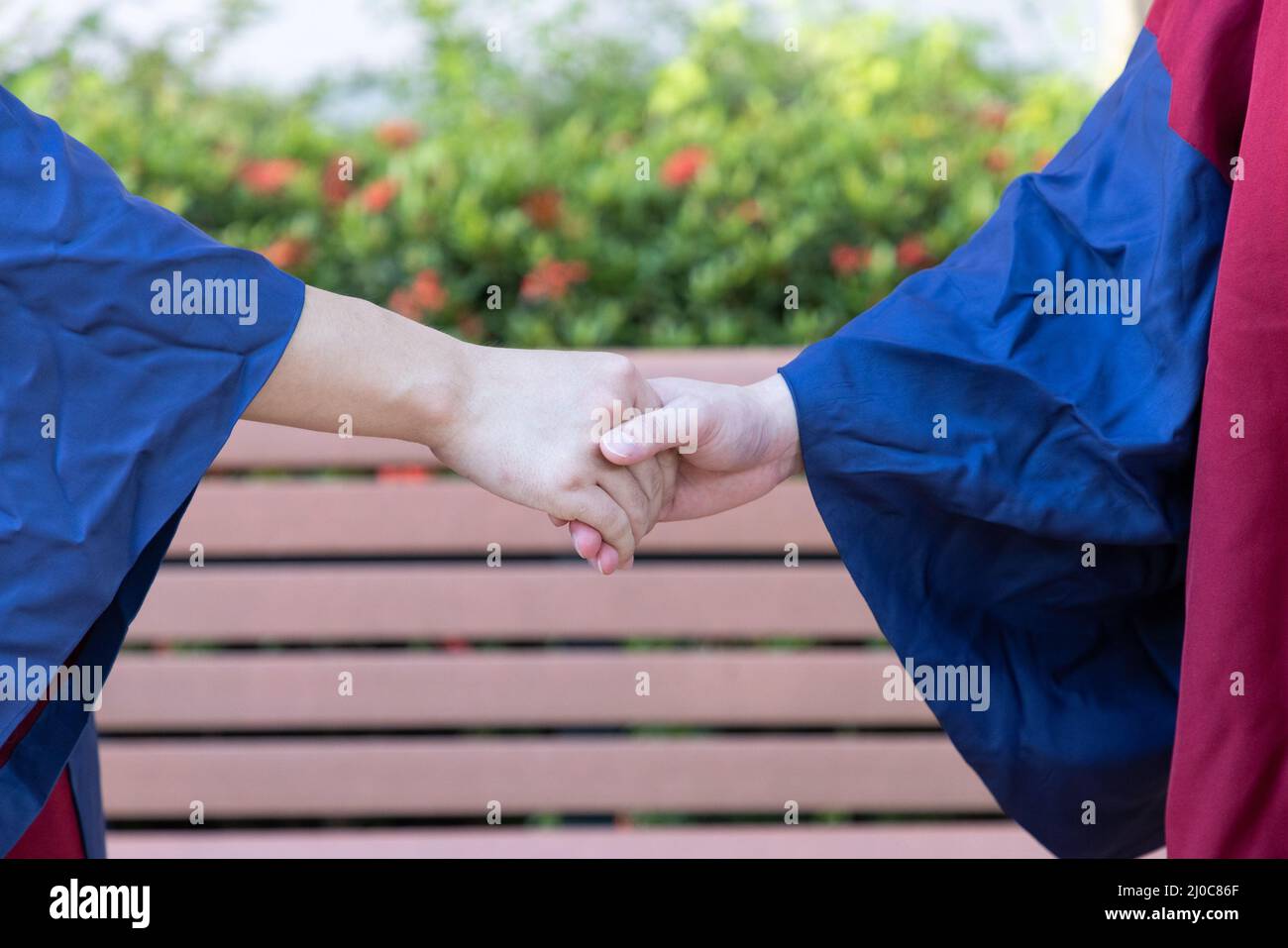 two happy proud PhD graduated male students in Academic dress gown ...