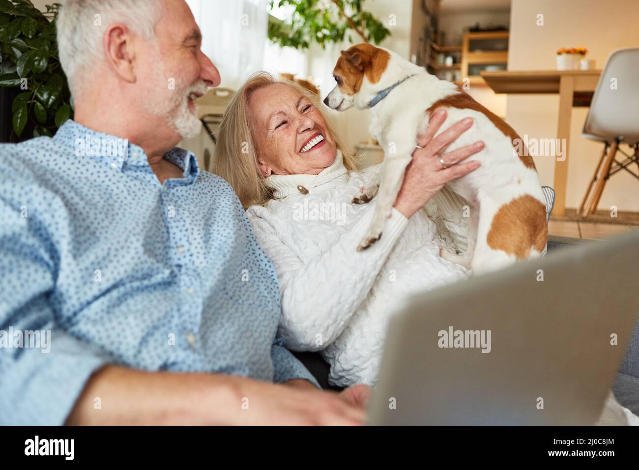 Happy retired couple with small dog as pet in living room at laptop ...