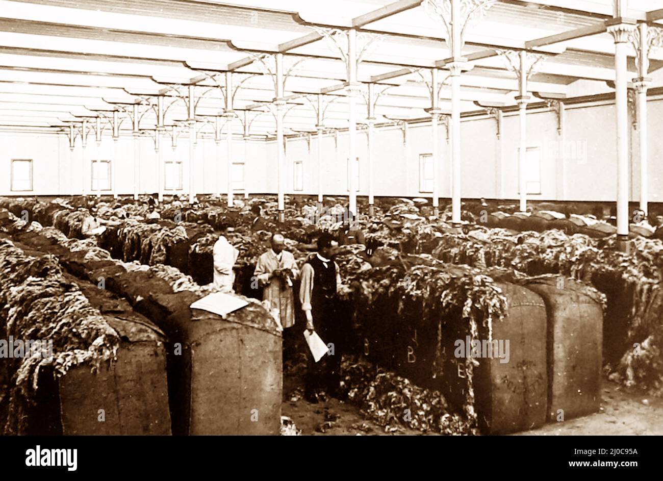 Preparing wool for export by compressing it with a hydraulic press ...