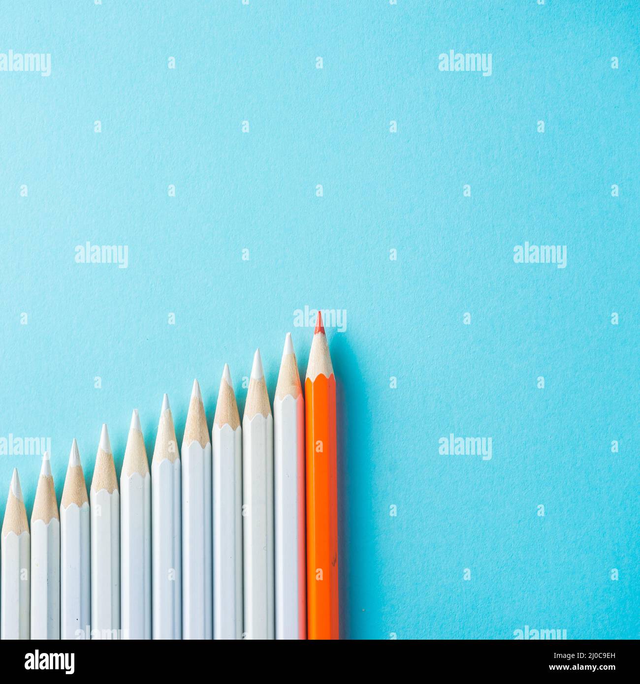 Business concept - lot of white pencils and one color pencil on blue ...