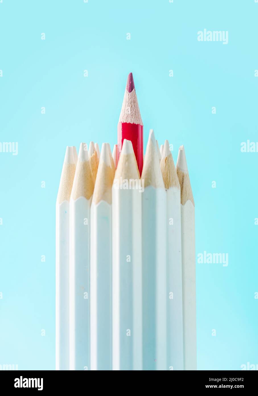 Business concept - lot of white pencils and one color pencil on blue ...