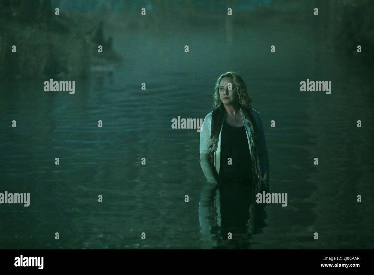 VIRGINIA MADSEN in SWAMP THING (2019), directed by LEN WISEMAN, DERAN ...