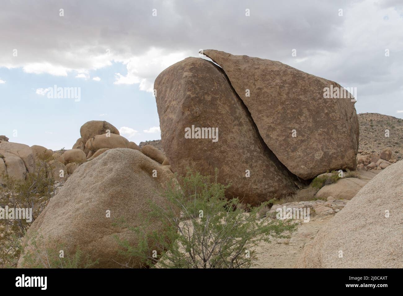 Rock split by tree hi-res stock photography and images - Alamy