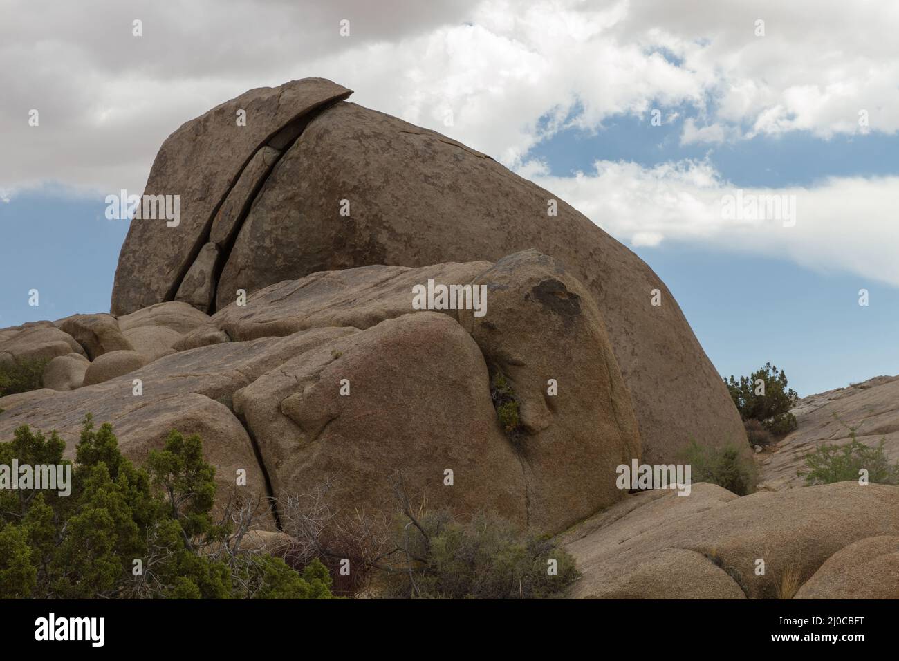 Rock split by tree hi-res stock photography and images - Alamy