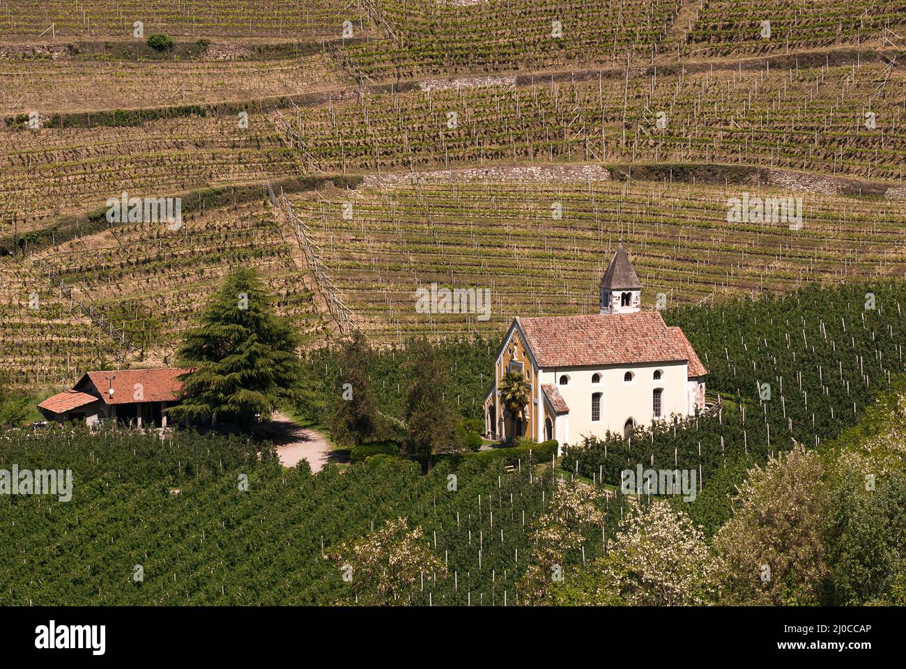 Church in fields Stock Photo - Alamy
