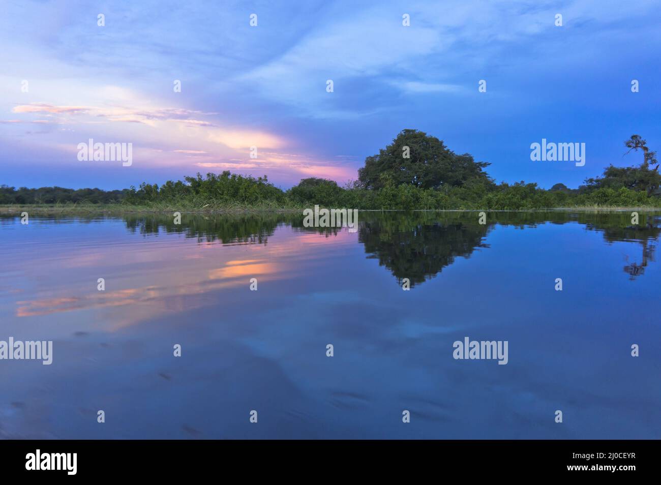 Amazon rainforest brazil sunset hi-res stock photography and images - Alamy