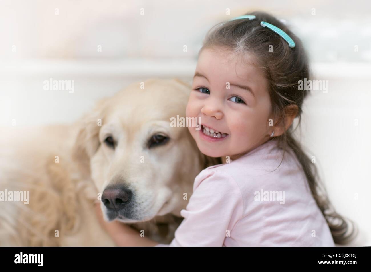 Pretty little dog hi-res stock photography and images - Alamy