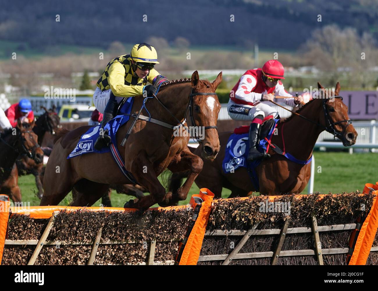 State man 2022 racecourse hi-res stock photography and images - Alamy