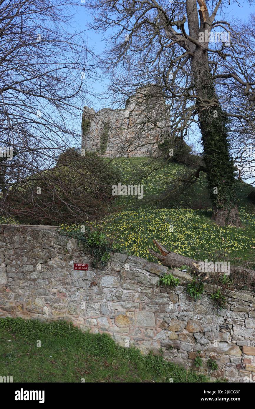 Castle ruin at Hawarden Park, Hawarden Estate, North Wales Stock Photo ...