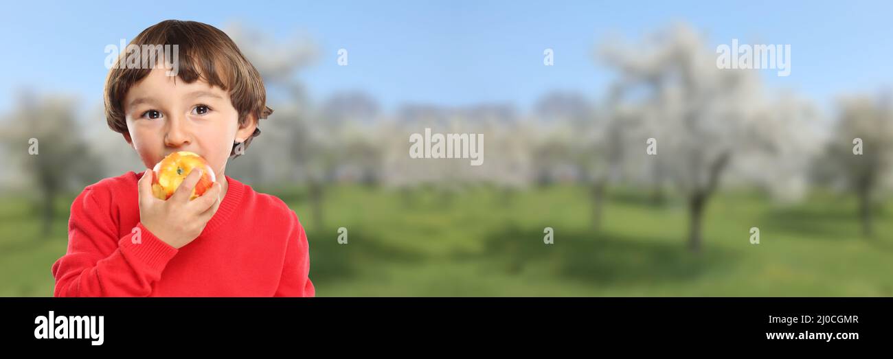 Apple eat child fruit fruits banner text free space healthy diet Stock ...