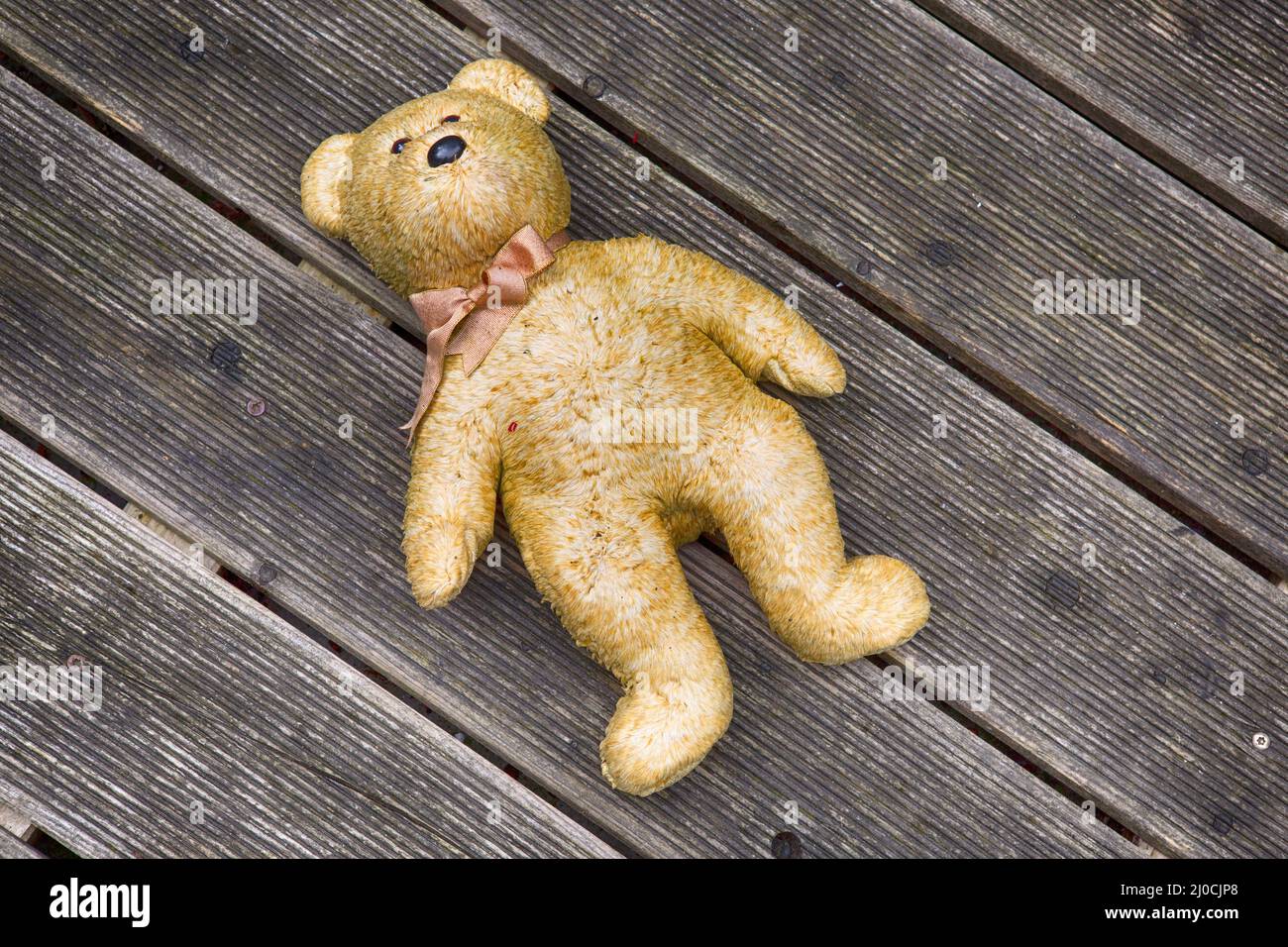 Wet teddy hi-res stock photography and images - Alamy