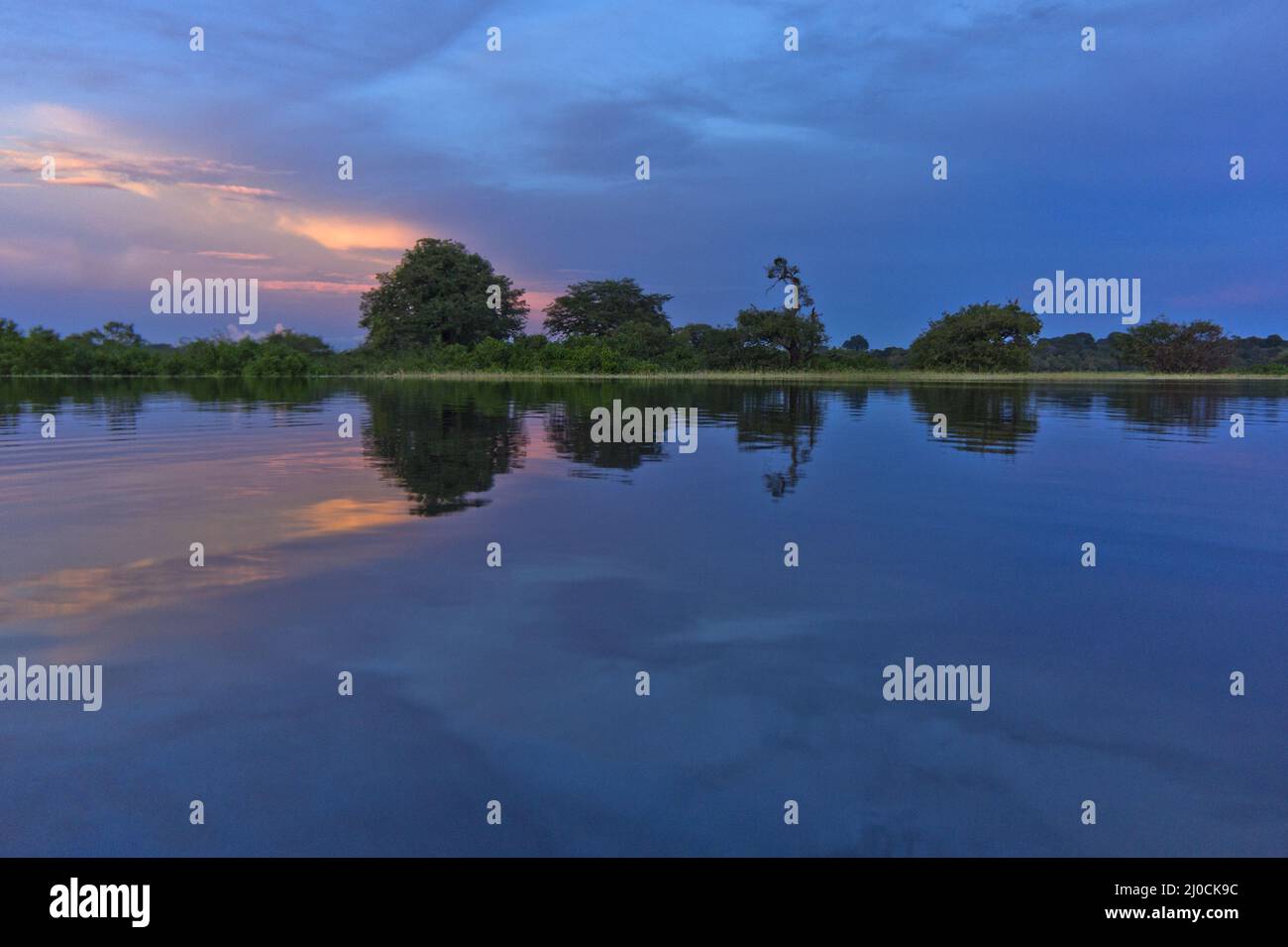 Amazon magic hi-res stock photography and images - Alamy