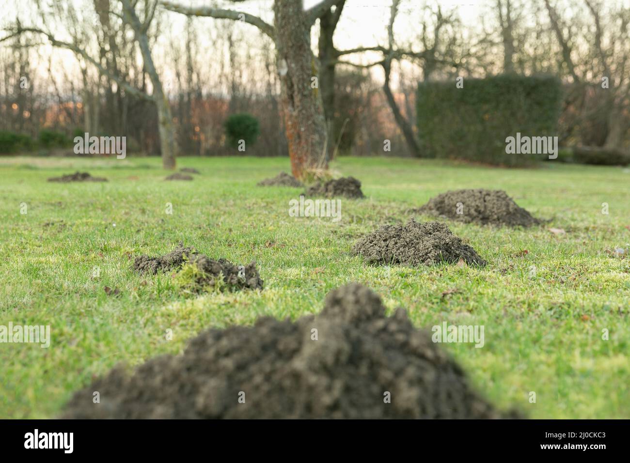 Mole hole hi-res stock photography and images - Alamy