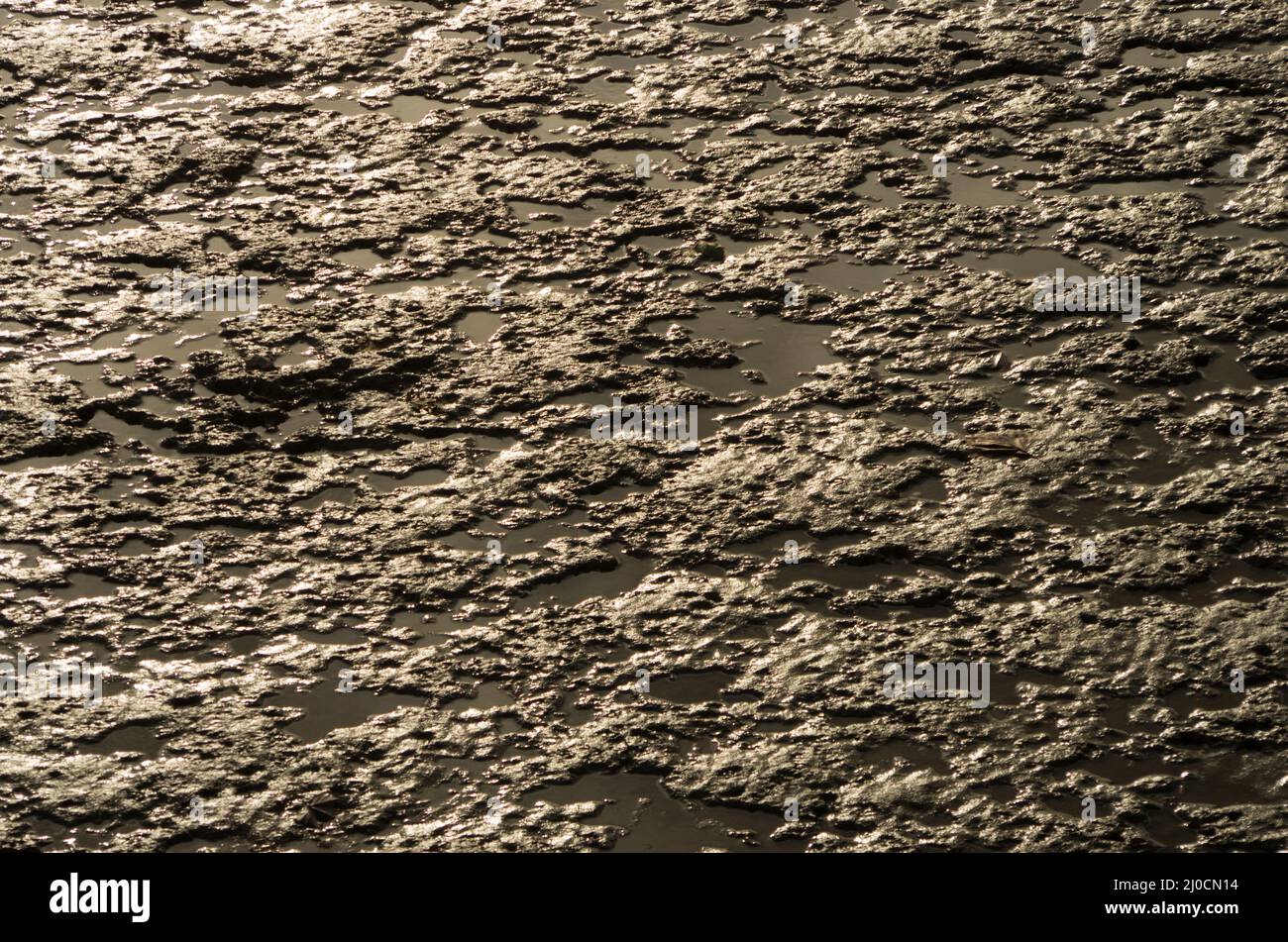 Riverbed patterns hi-res stock photography and images - Alamy