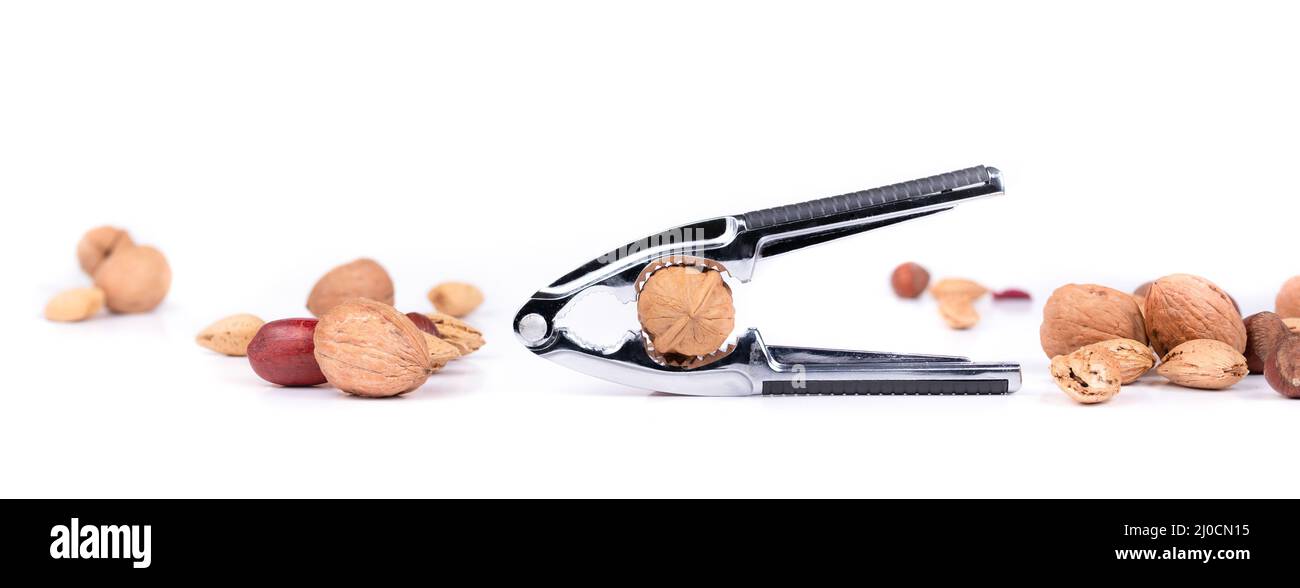 Nutcracker pliers with walnut and a variety of tree nuts arranged ...