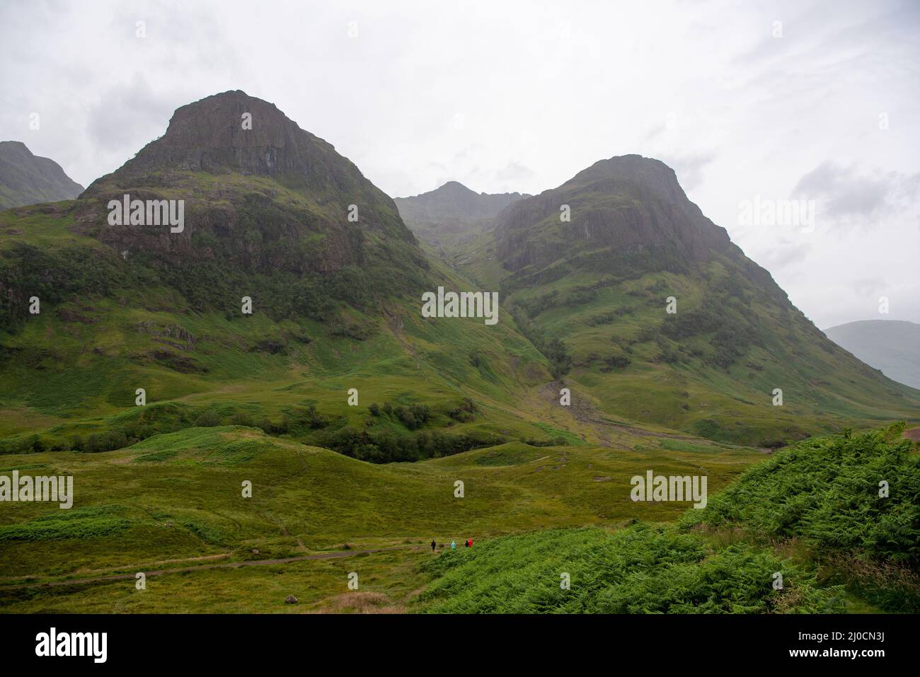 View of greenery field in background of mountains in Scotland Stock ...