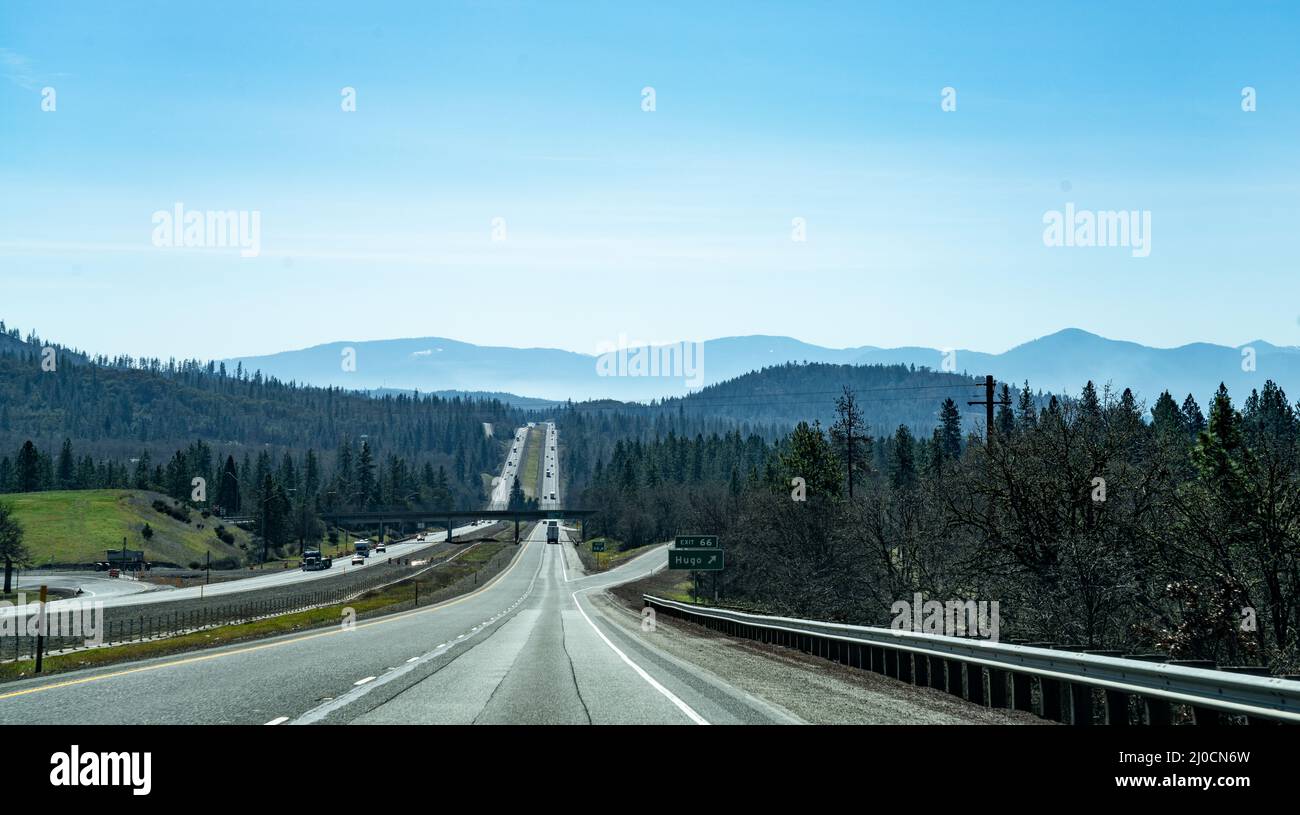 Highway with dense trees on the roadside Stock Photo - Alamy