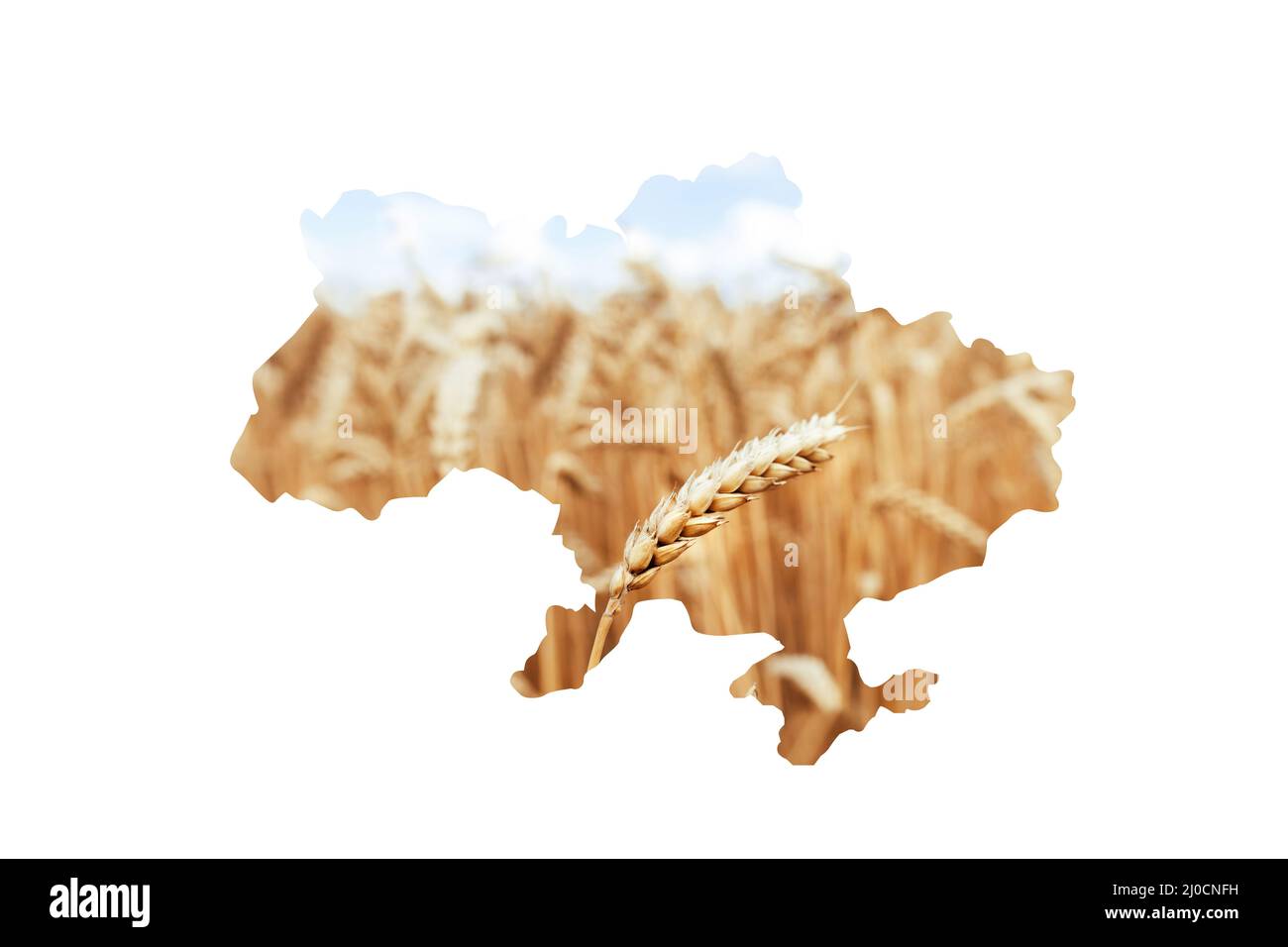 Image of a map of Ukraine on a white background. Texture of yellow ...