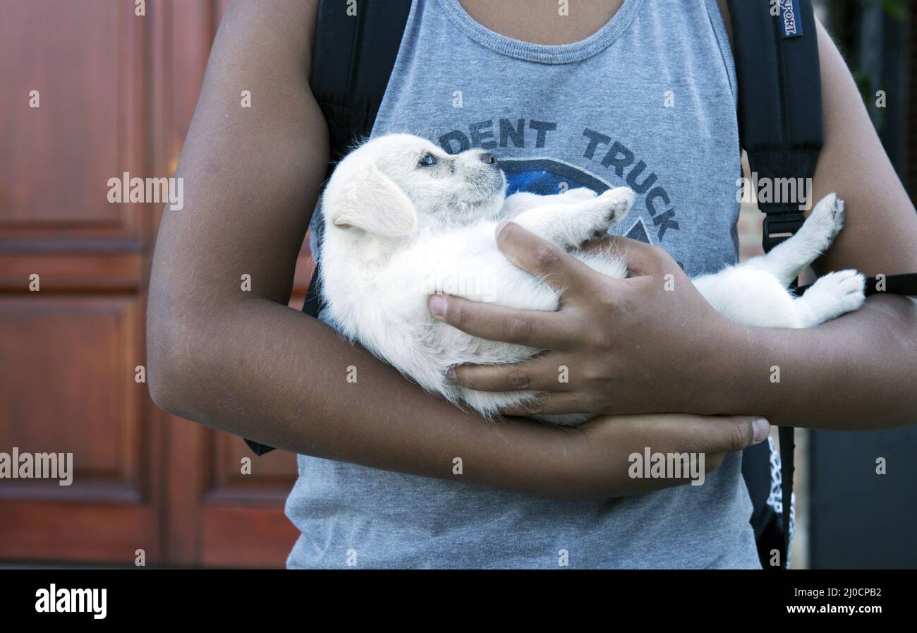 Hund halten hi-res stock photography and images - Alamy