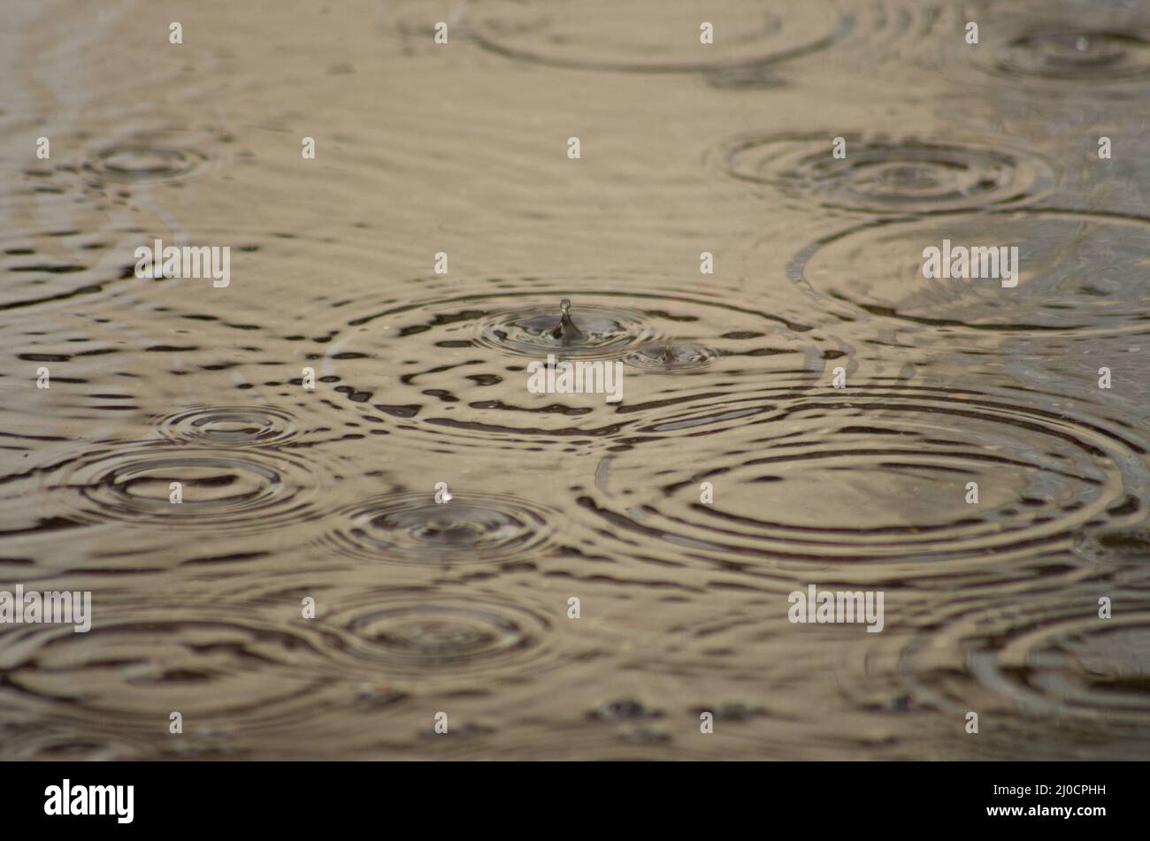 Raindrops falling, creating ripples in a puddle Stock Photo - Alamy