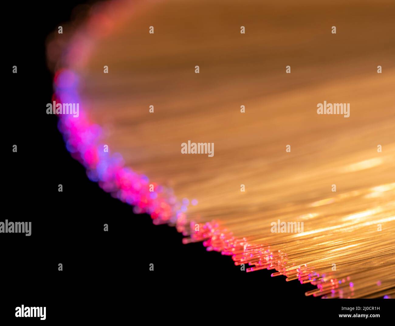 Colorful illuminated optical fibers closeup in black back Stock Photo ...