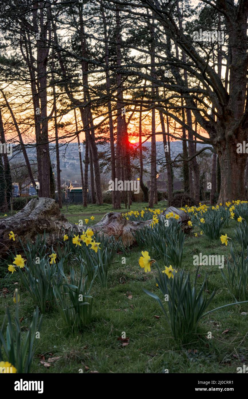 Spring in Bath Stock Photo - Alamy