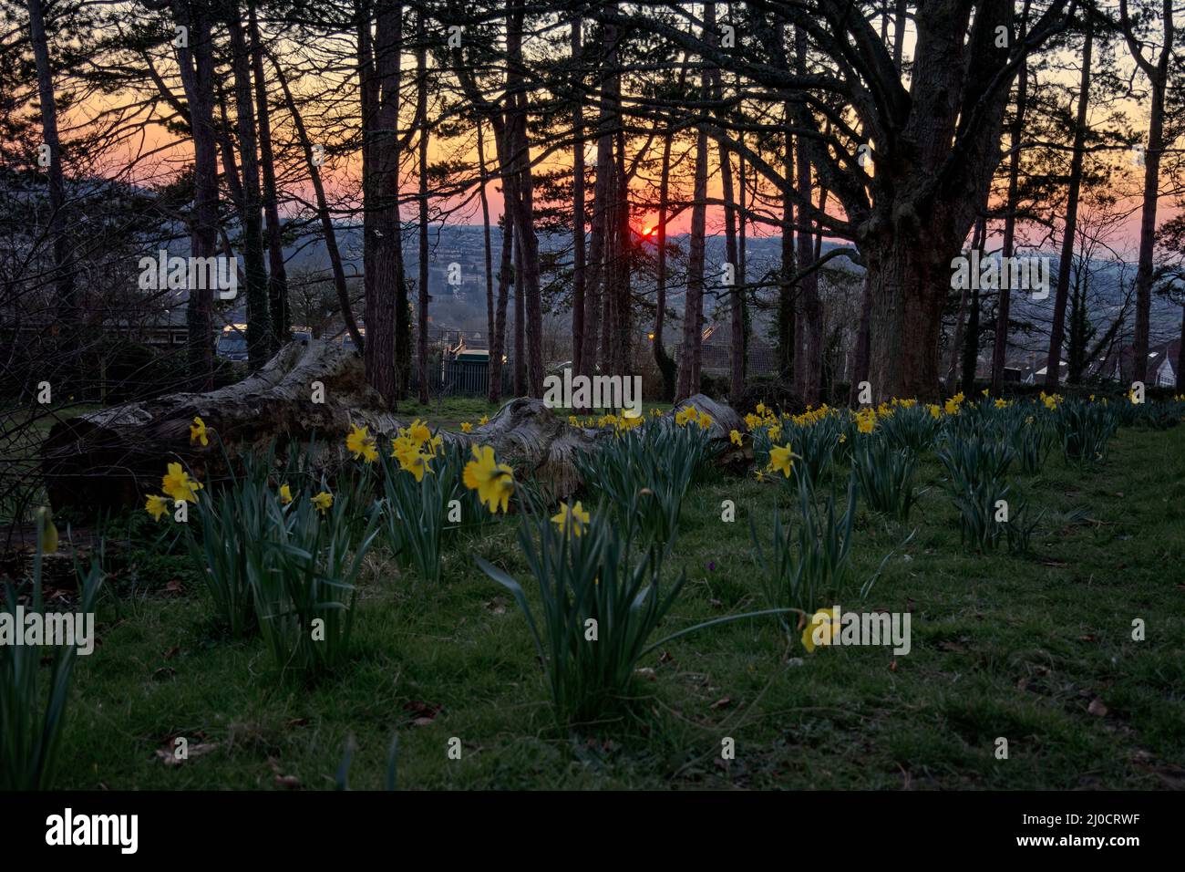 Spring in Bath Stock Photo - Alamy