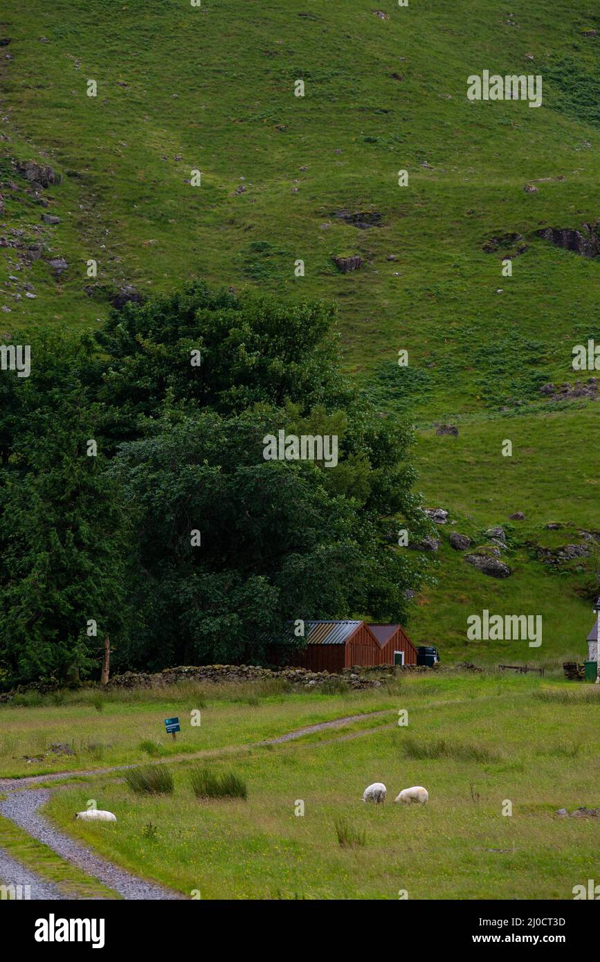 Vertical shot of greenery fields with huts in background of greenery ...