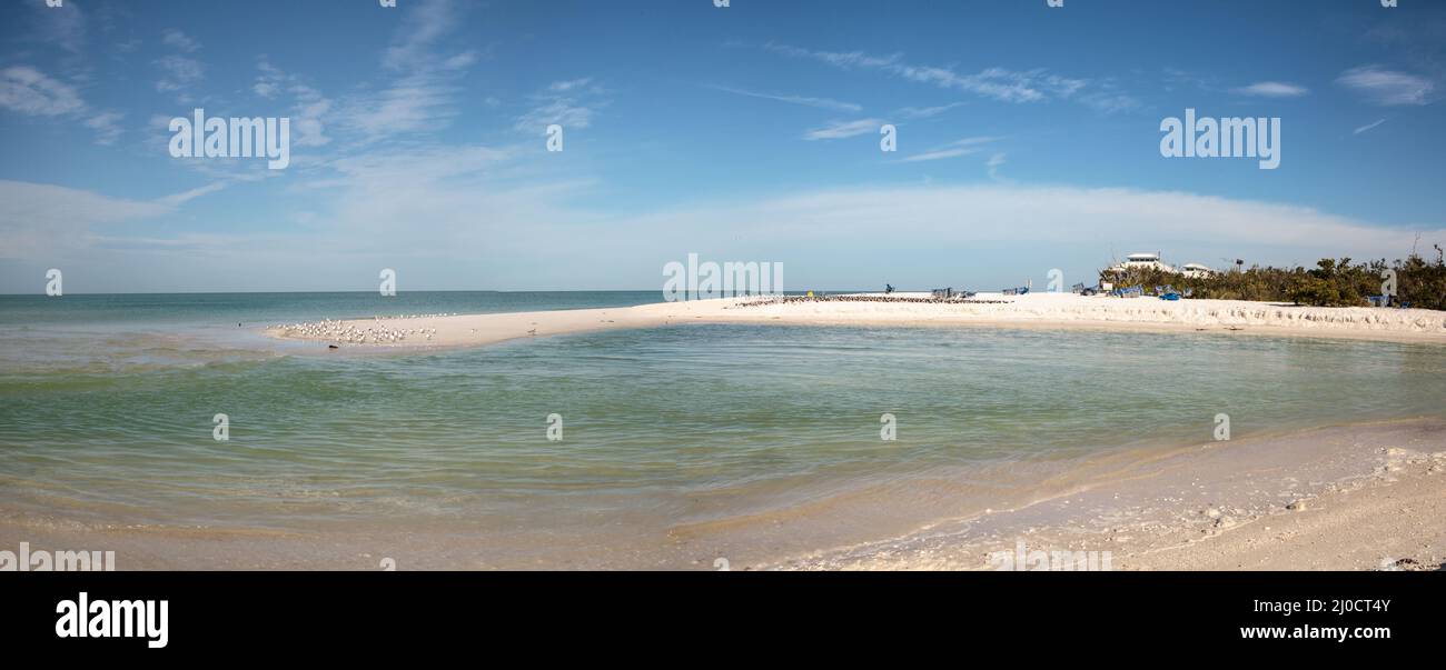 White sand beach and aqua blue water of Clam Pass in Naples, Florida ...