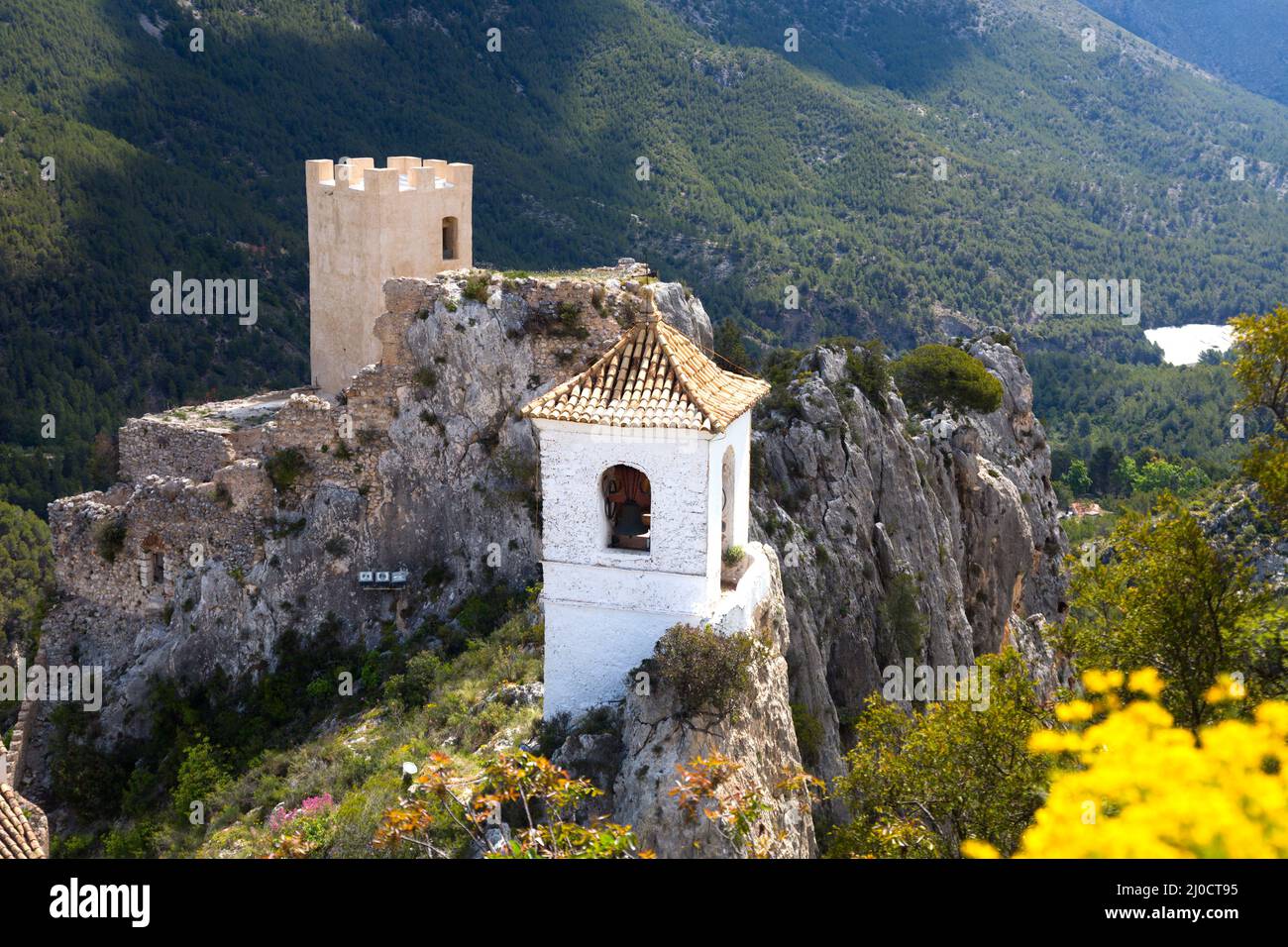 Woodland surrounding castle hi-res stock photography and images - Alamy