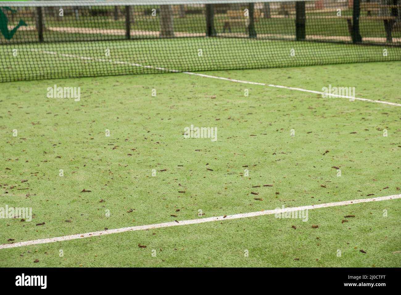 green paddle tennis court, synthetic grass Stock Photo - Alamy