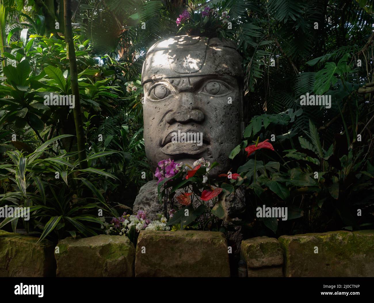 Olmec sculpture carved from stone. Mayan symbol - Big stone head statue ...